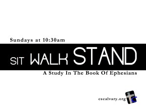 Sit Walk Stand | Craig T. Owens