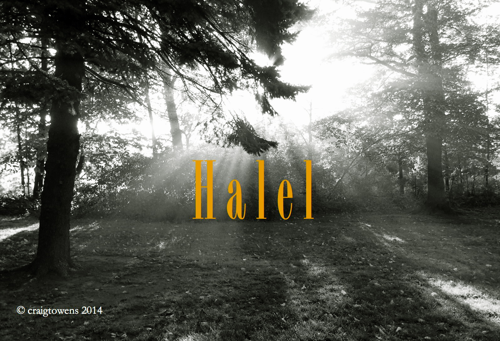 29 | October | 2014 | Craig T. Owens