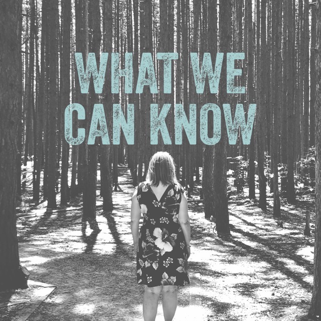 What We Can Know | Craig T. Owens