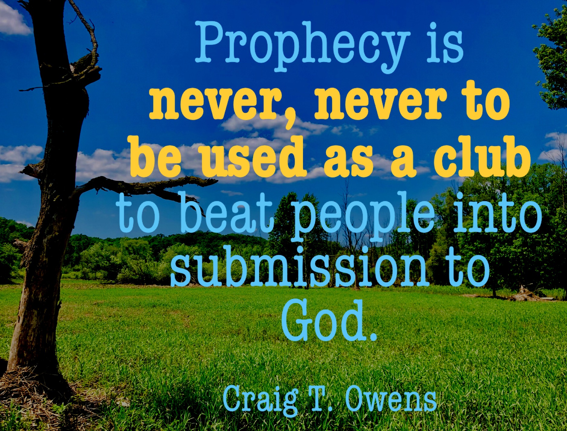The Role Of Prophecy | Craig T. Owens