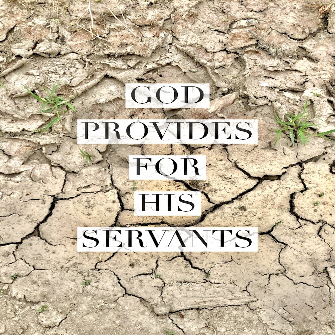 God Provides For His Servants | Craig T. Owens