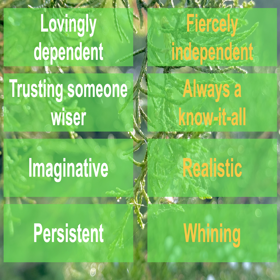 Prayer Changes My Maturity | Craig T. Owens